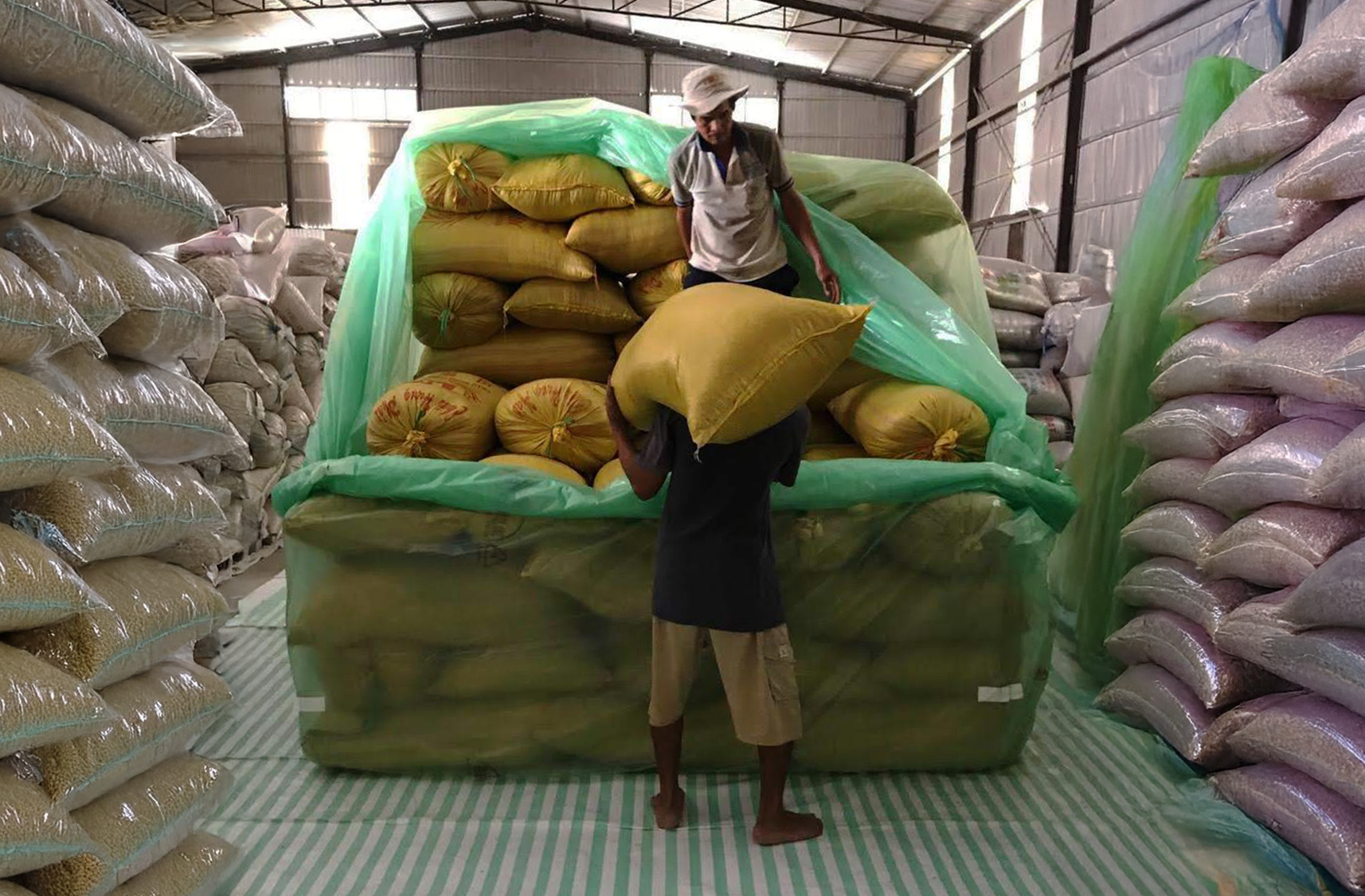 GrainPro Cocoon Indoor